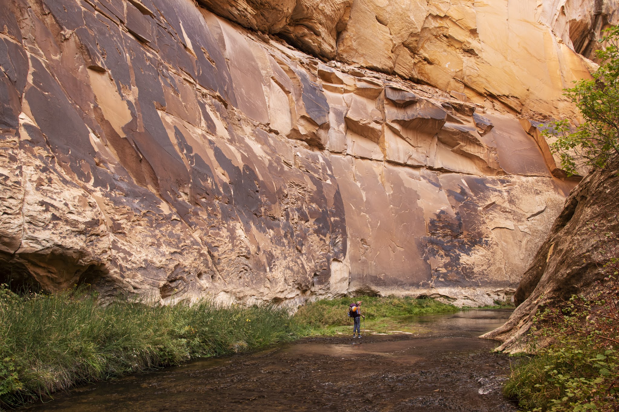 BOX DEATH HOLLOW. ESCALANTE, UTAH - ADAM HAYDOCK