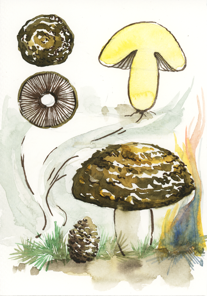 Confraria dos RPGs: Fungi of the Far Realms - vamos usar cogumelos em ...