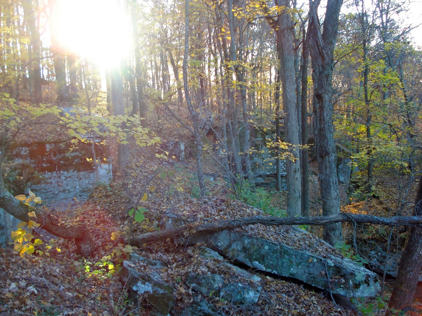 Experiencing Illinois: Millstone Bluff