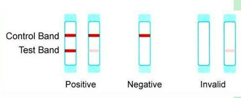 Beauty Health Technology And Everything Pregnancy Test How To Do It beauty-health-technology-and-everything-pregnancy-test-how-to-do-it