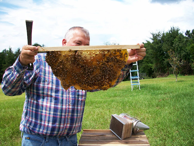 West Alabama Top Bar Beekeeper