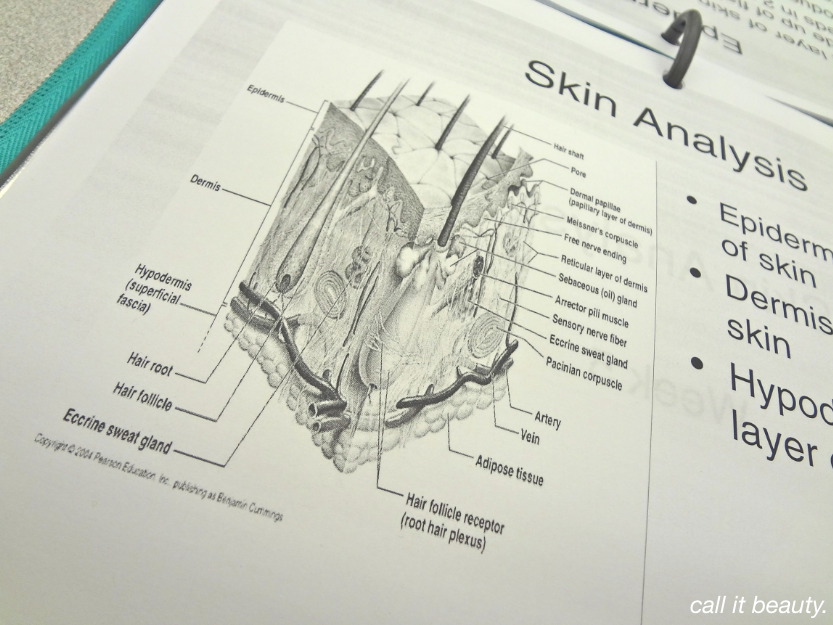 call it beauty.: Making Up Is Hard To Do: History Of Makeup & Skin Analysis