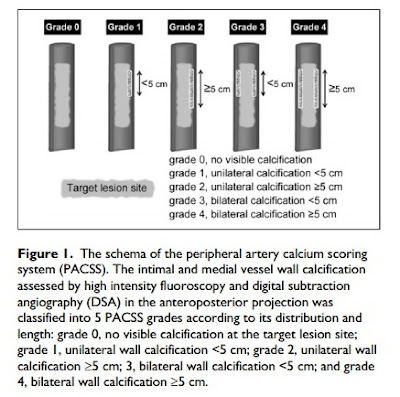 Vascular Mind : PERIPHERAL ARTERY CALCIUM SCORING SYSTEM (PACSS)