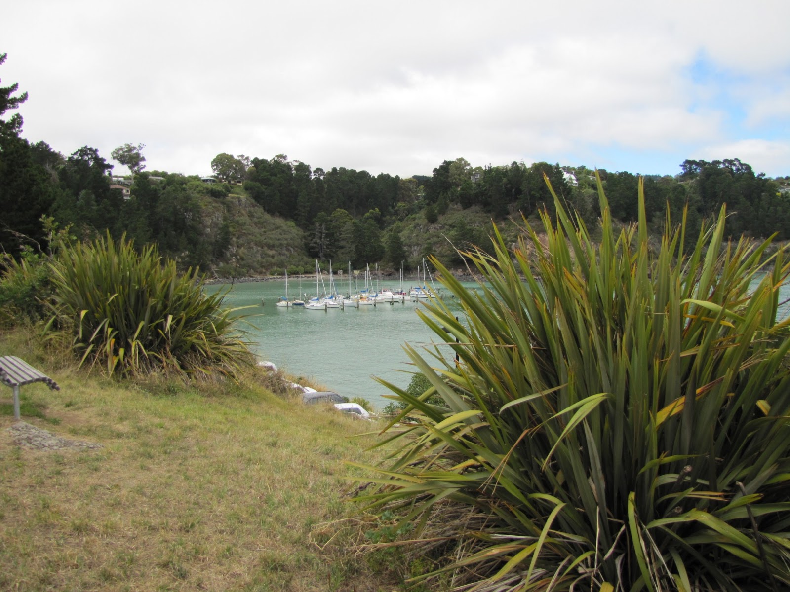 photographing New Zealand: diamond harbor, christchurch