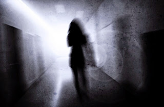 UN POCO DE AQUI,UN POCO DE ALLI: LA EXTRAÑA DESAPARICION DE DOROTHY ...