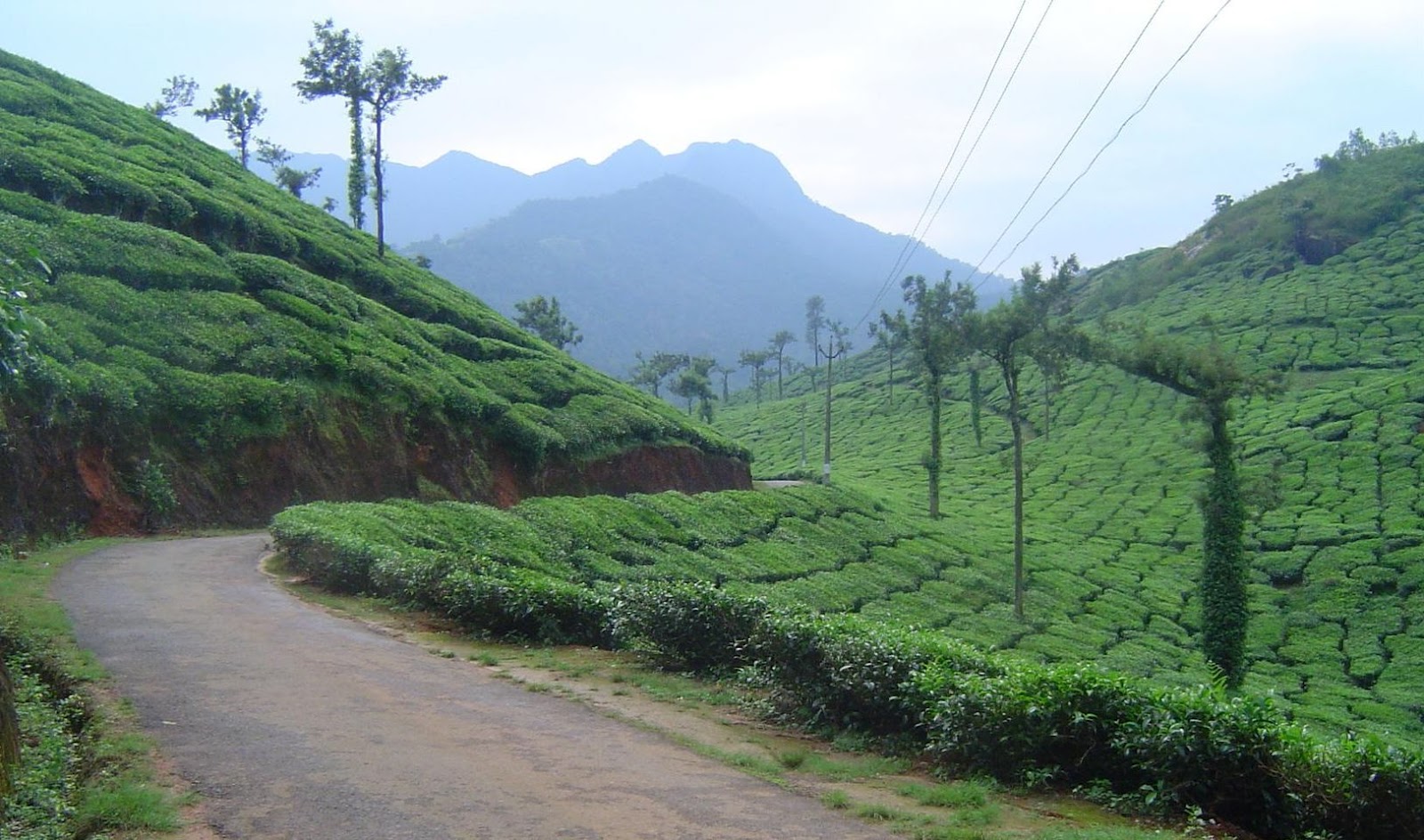 THE GREEN PARADISE "WAYANAD"