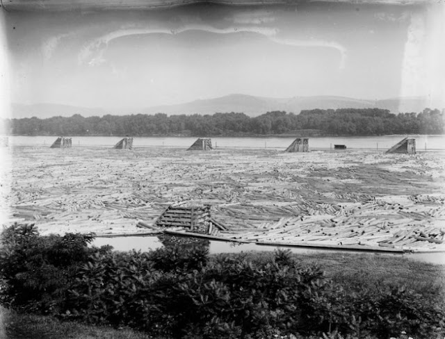 Valley Girl Views: The Lumber Boom In Williamsport