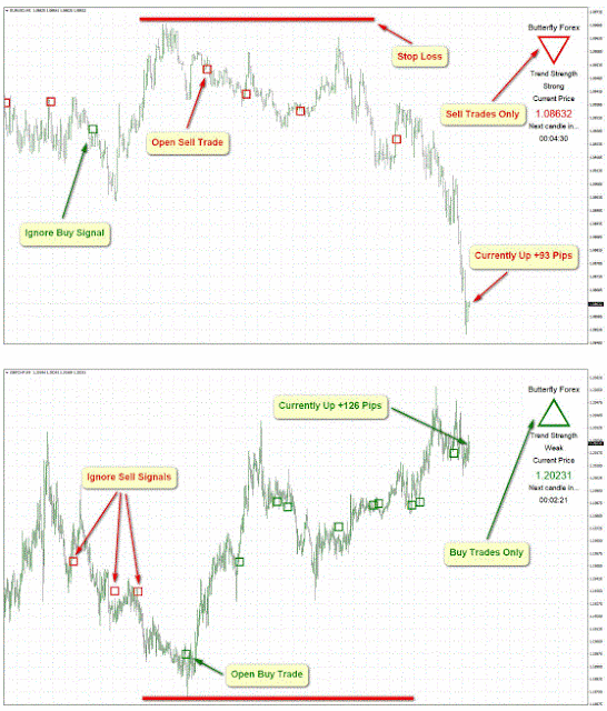 Butterfly Forex System