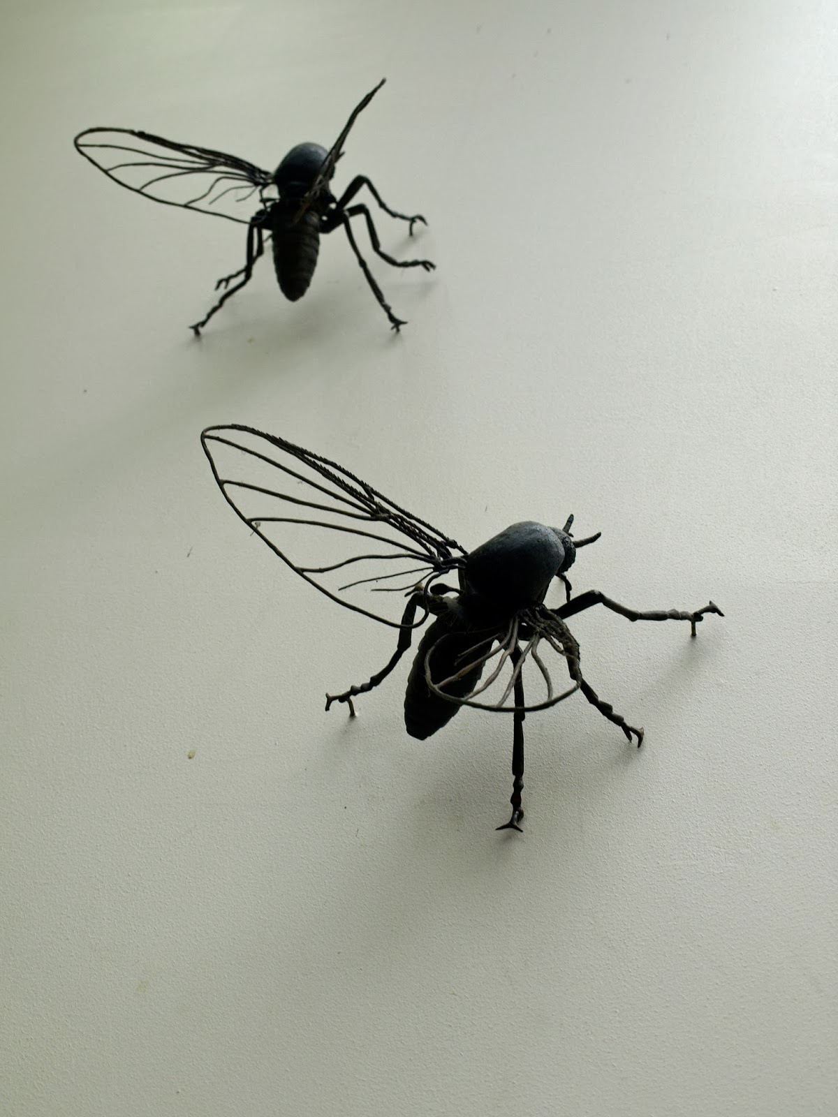 Nature Scribe: Nights by a Highland Lake: Part 3