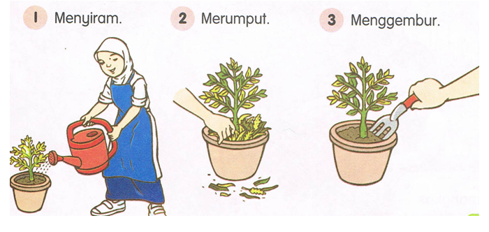 Hijau Bumi Tuhan: 4.0 Penjagaan Tanaman Hiasan