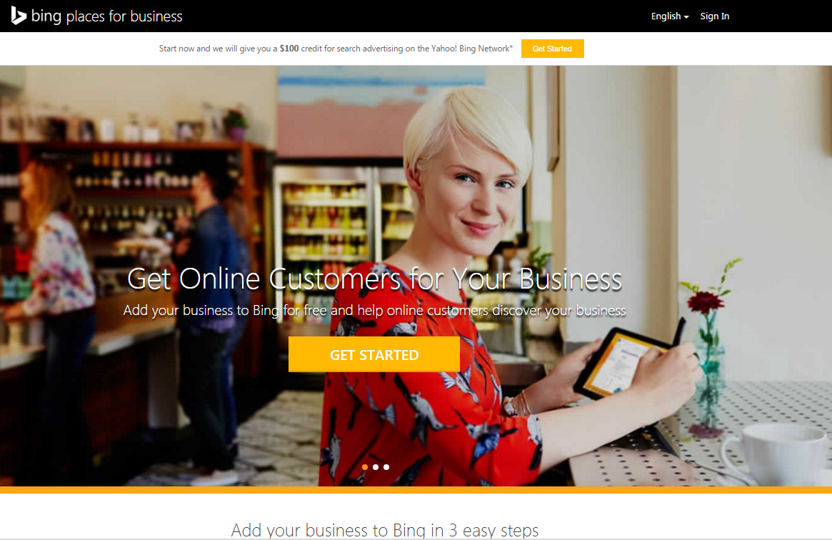 Alan Rothstein: $100 in Bing Credits When You Sign Up for ... | ADVERTISING