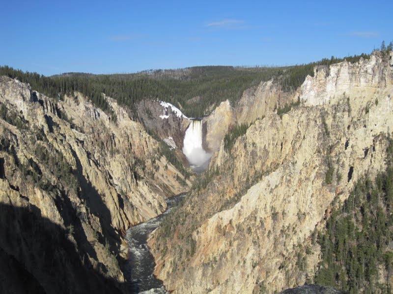 The Scallywagon: YOU SKIN GRIZ', PILGRIM? Yellowstone National Park