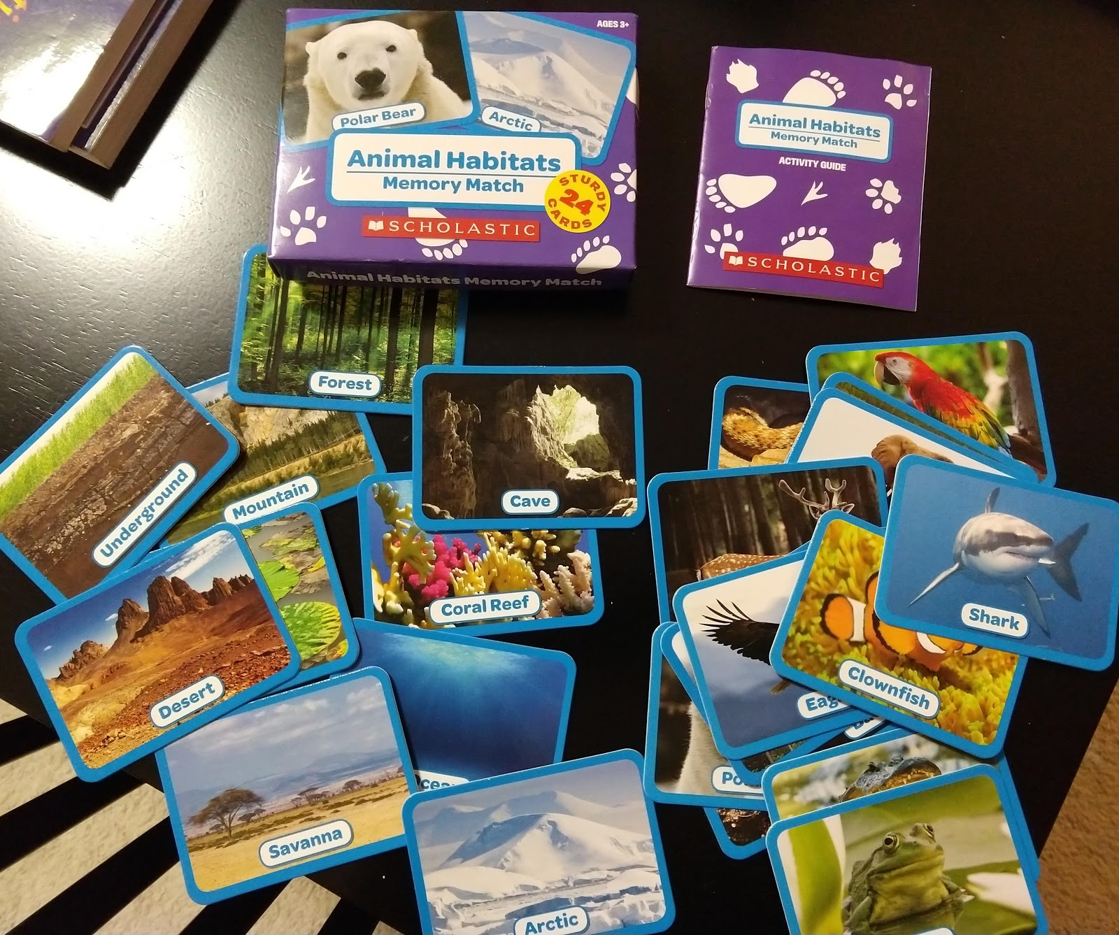 Cambridgeshire Academy™️: 1st Grade Animal Study