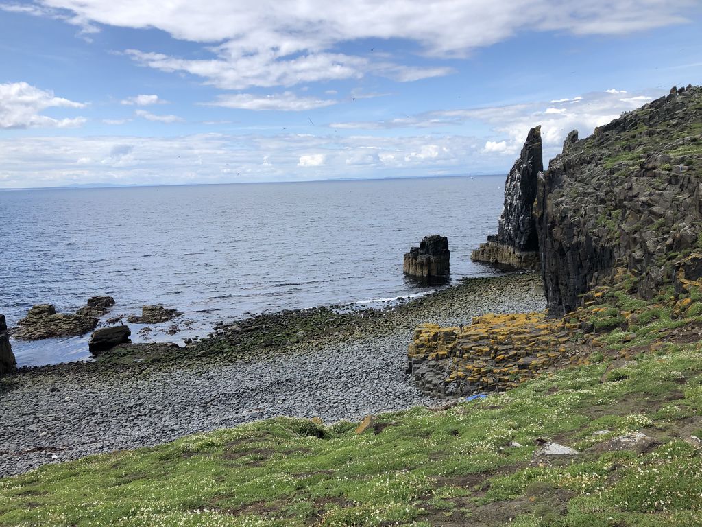 Excursion a la Isla de May (Escocia) para ver puffins | Sin mirar a nadie