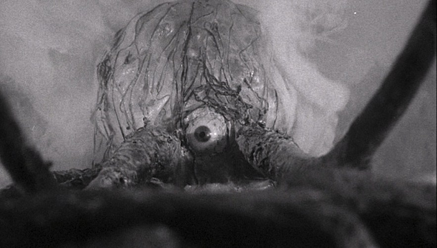 Life Between Frames: Worth Mentioning - What U R Here 4