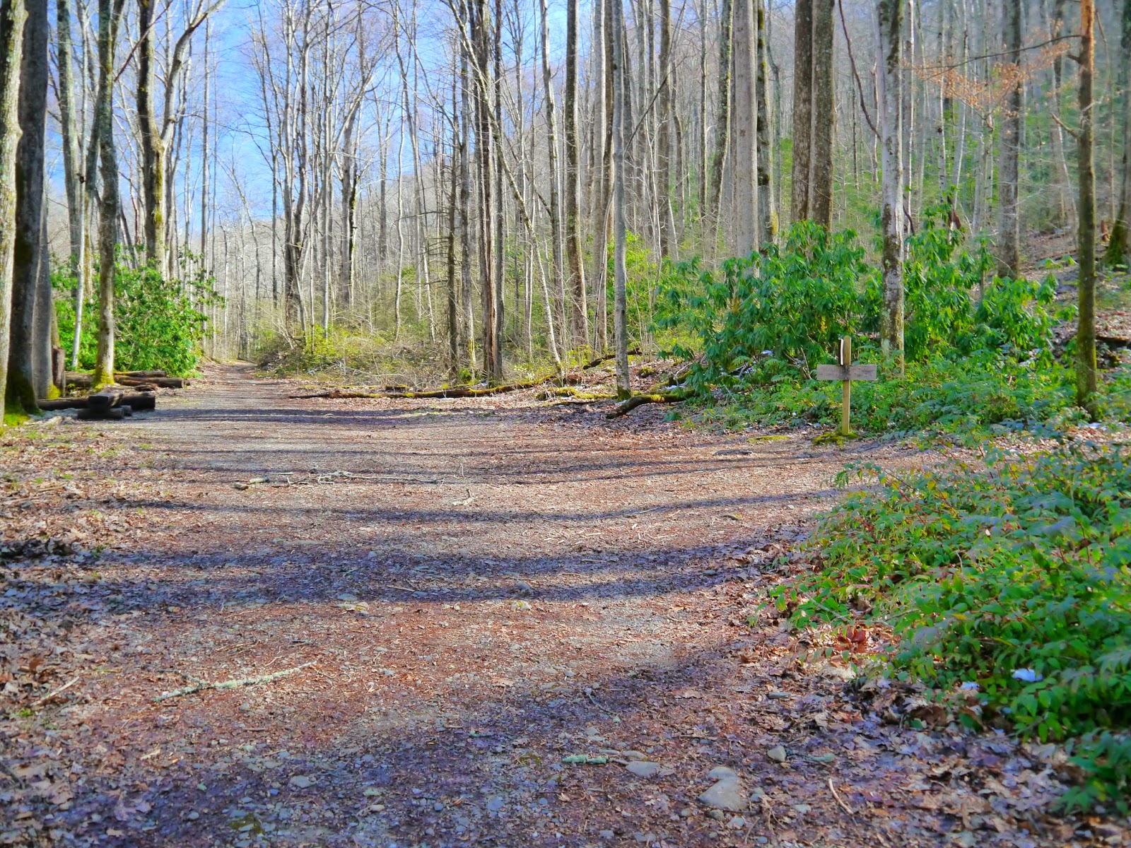 American Travel Journal: Little River Trail - Great Smoky Mountains ...