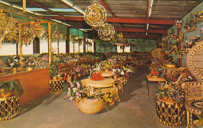 35 Cool Pics Show the Interior of American Stores in the 1950s and '60s ...