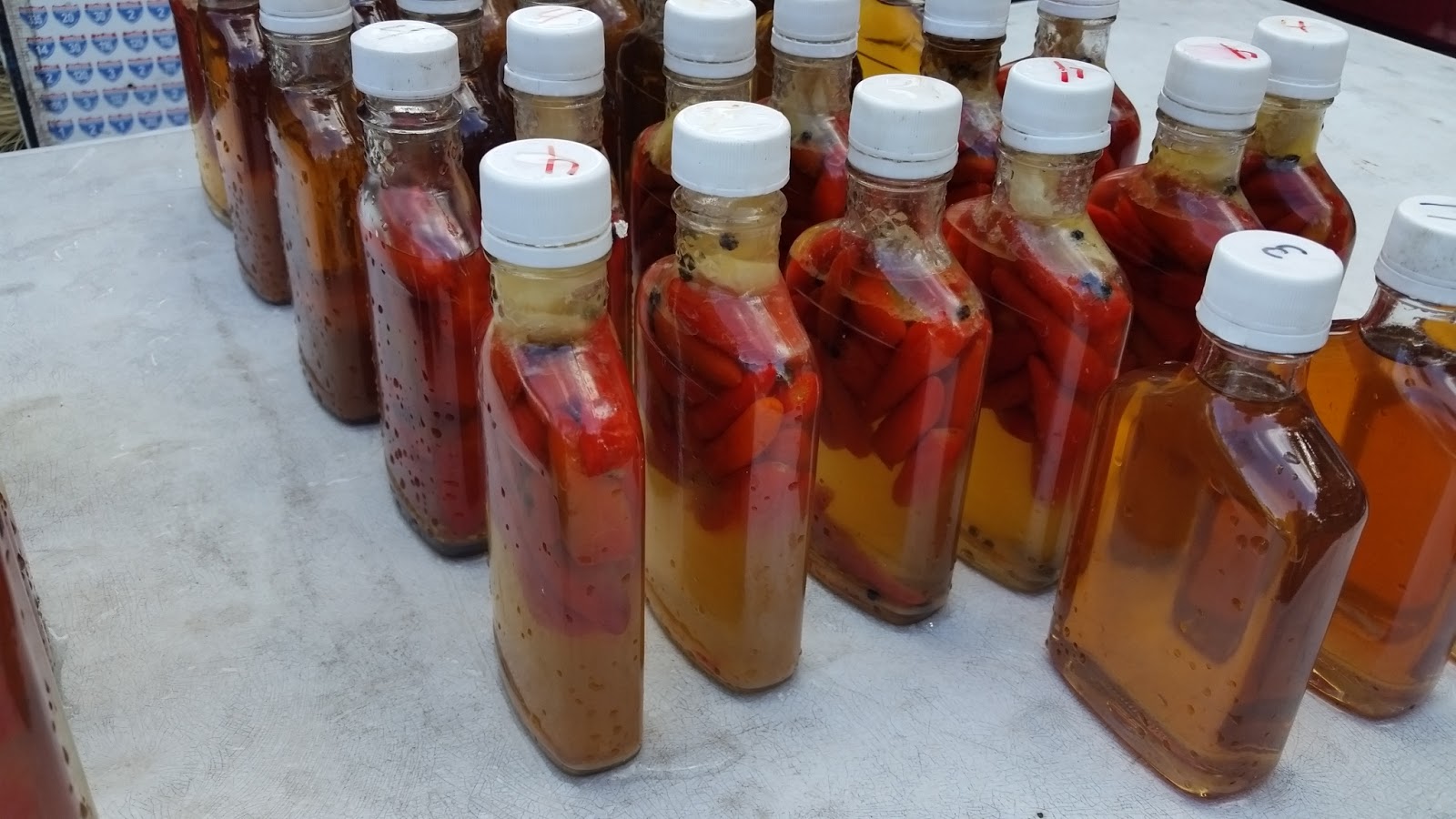 Guavate, Puerto Rico ¿Lugar De Comienzo De La Navidad En La Isla?