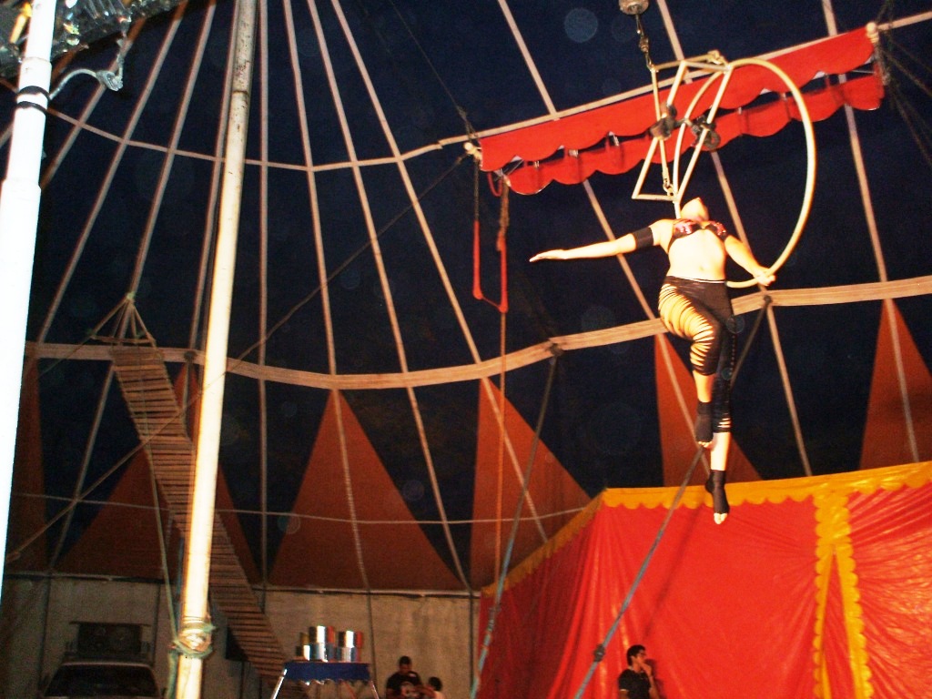 ***FRANCILENO GOIS ***: O circo Chegou.