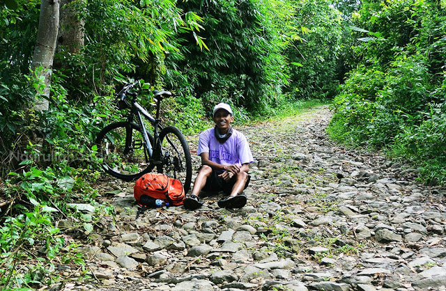 Sejuknya Suasana Hutan Pinus Setro Batealit di Jepara - Nasirullah Sitam