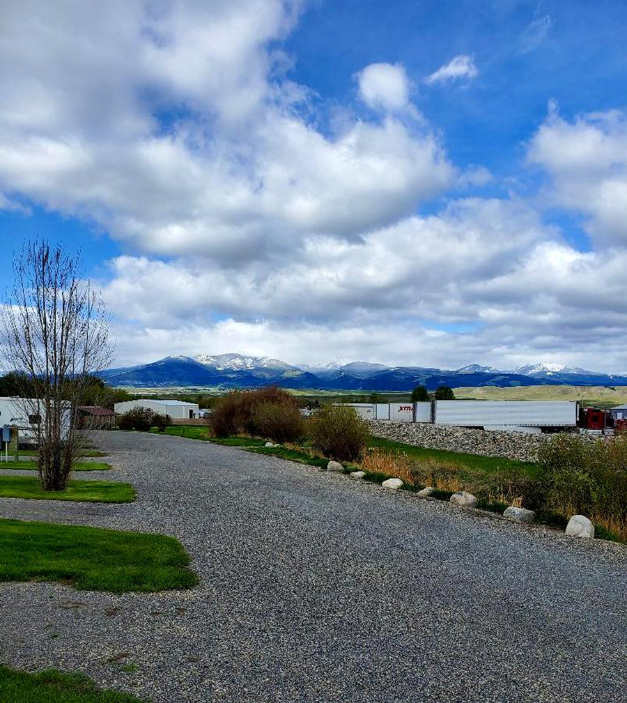 QuiltinCats: Montana's June Snow (Bend, OR)