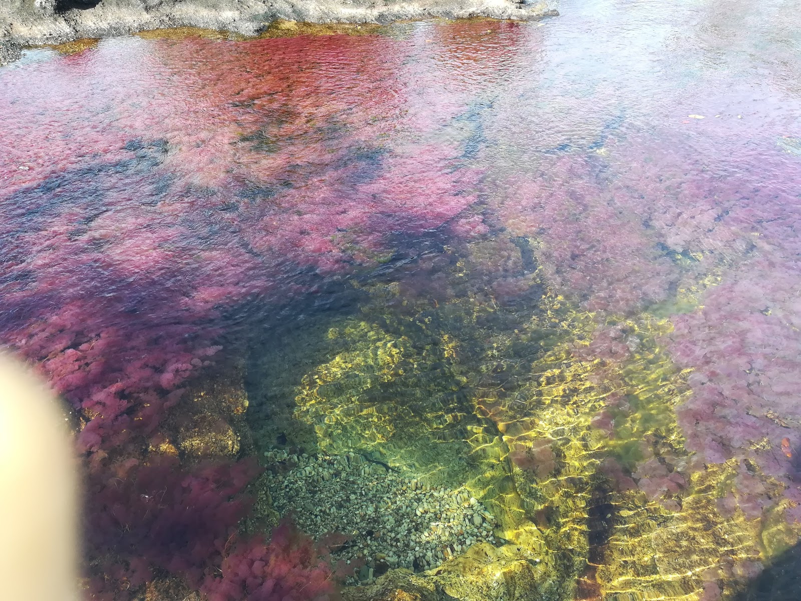 El río de los 7 colores 🌈