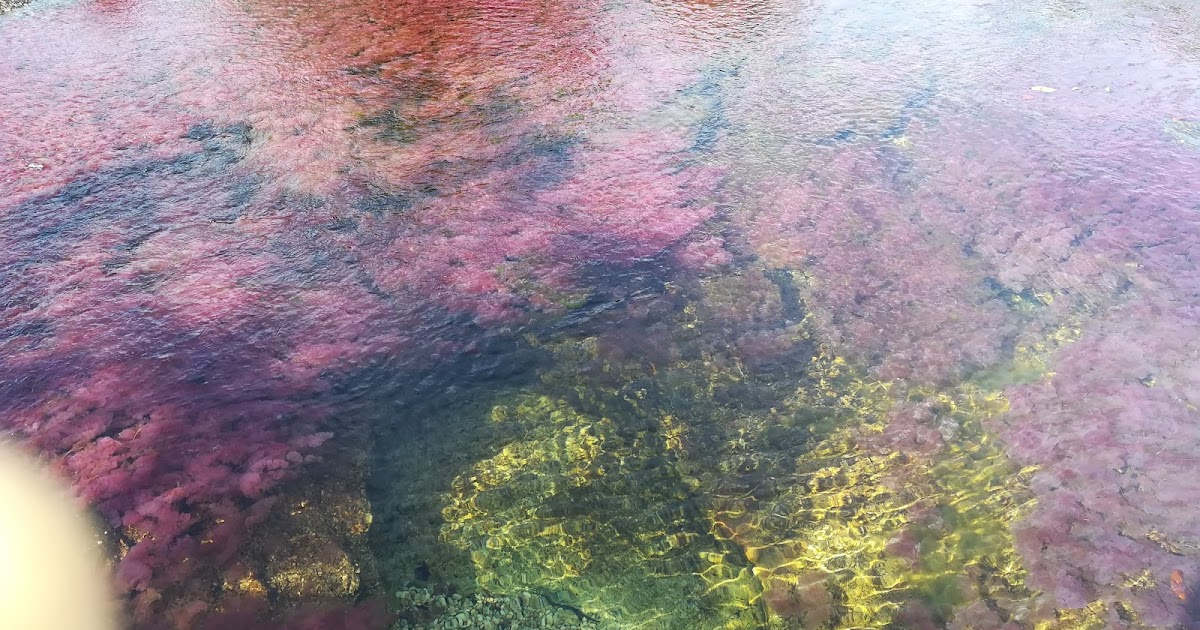 El río de los 7 colores 🌈