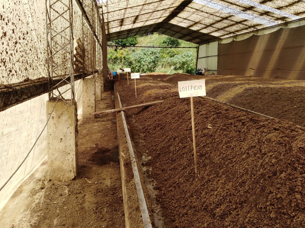 GALLINAZA COMPOSTADA: IMAGENES DE LA GALLINAZA COMOSTADA