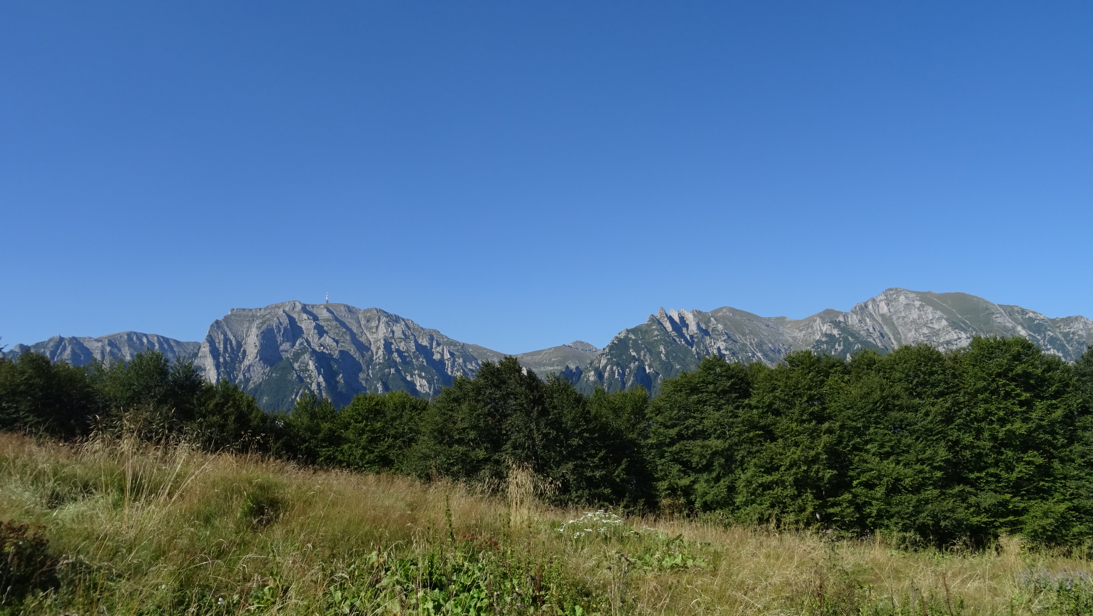 Blogul cu istorii, DENARIUS: Prospectari personale #3: Armata romana ...