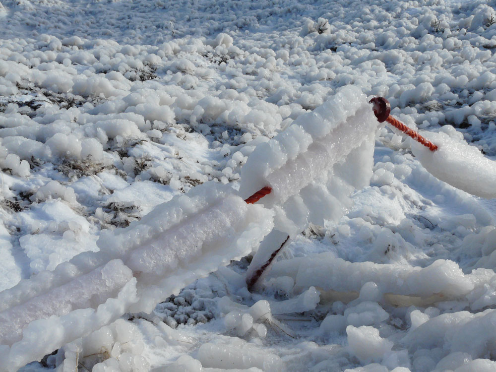 Swallowtail Keepers Society: Freezing Spray Warning - Blizzard 2013