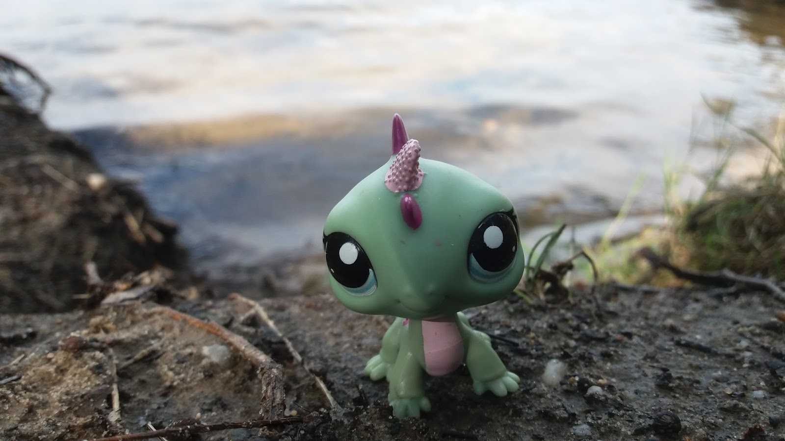 Lokalne LPS : lipca 2017