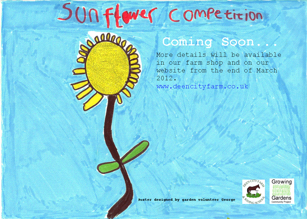 Sunflower Growing Competition Poster at Sharon Sutherland blog