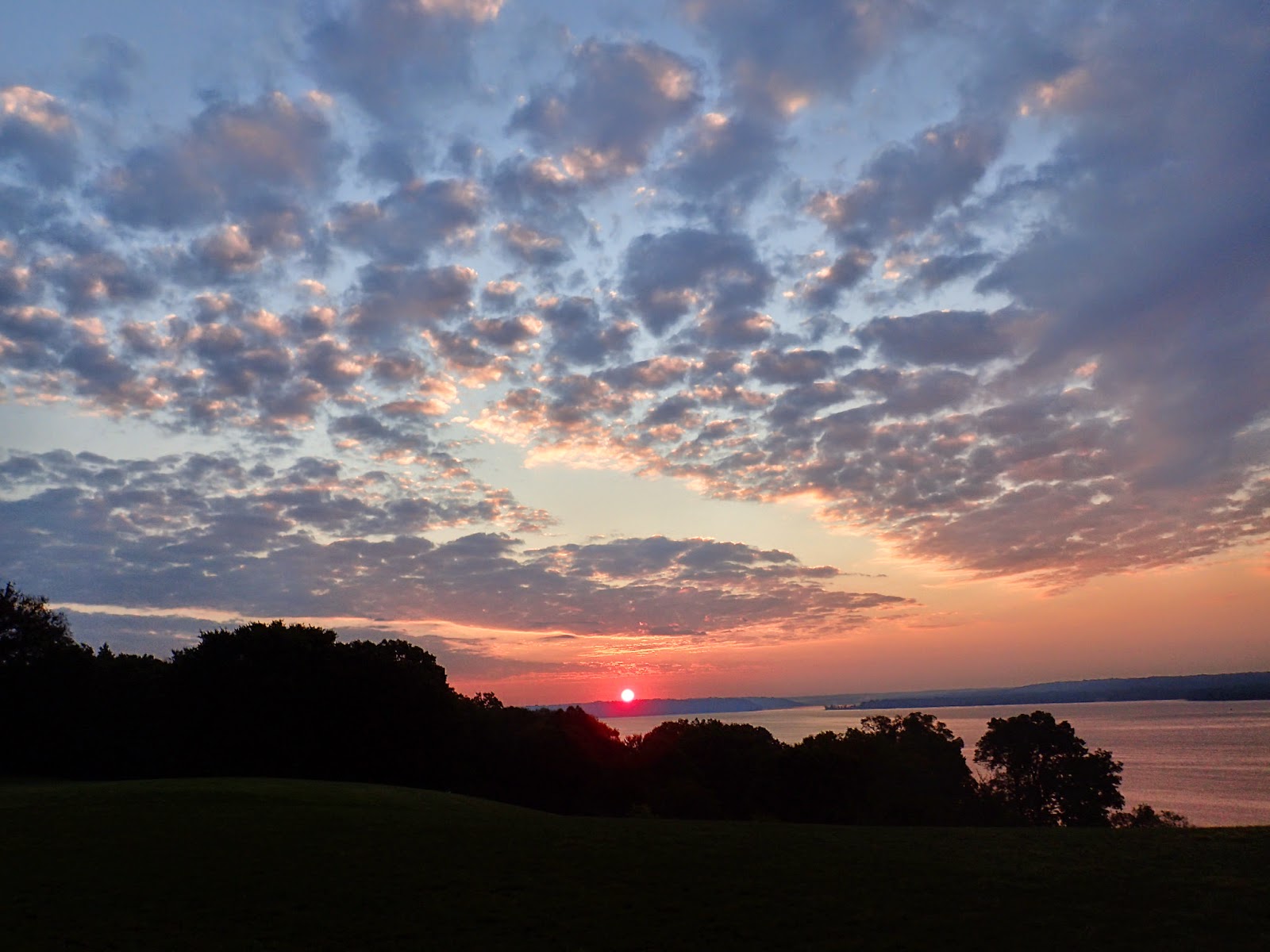 Speaking of History...: 2014