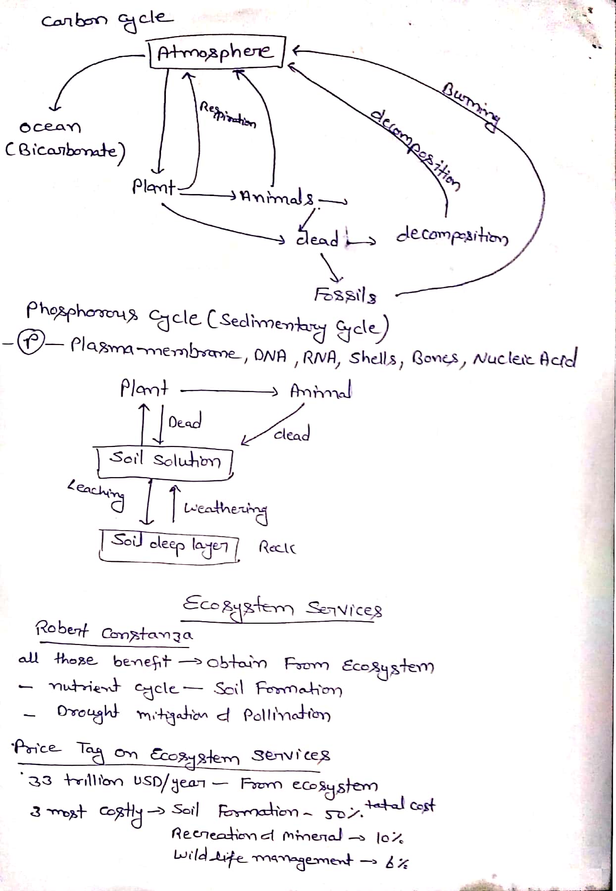 Ecosystem notes - Studypur