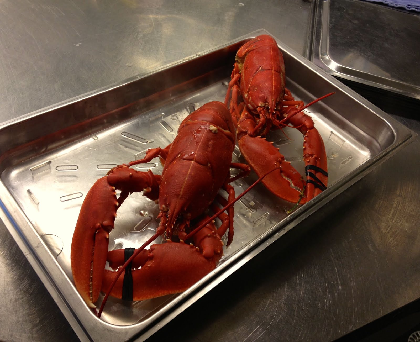 SMASKENS.NU: Hummerfiske med Västsvenska Turistrådet