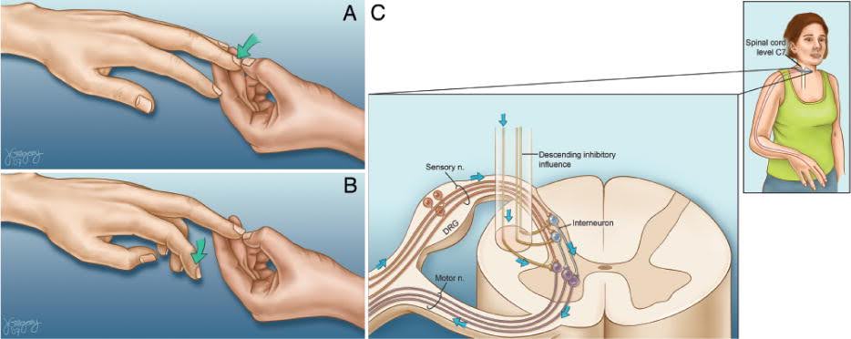 Online blended Medicine assignment (may)