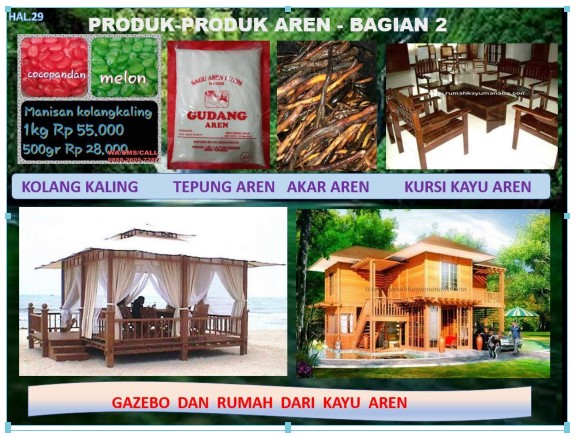 Budidaya Aren : Cara Menanam Aren Di Lahan Gambut