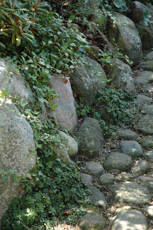 HAVETID: Sten og planter.