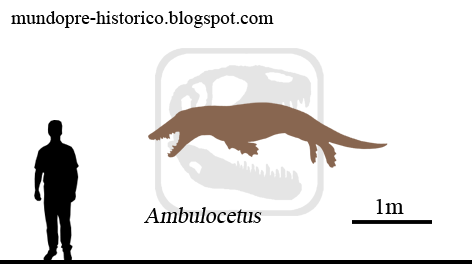 Mundo Pré-Histórico: Ambulocetus, a baleia que andava