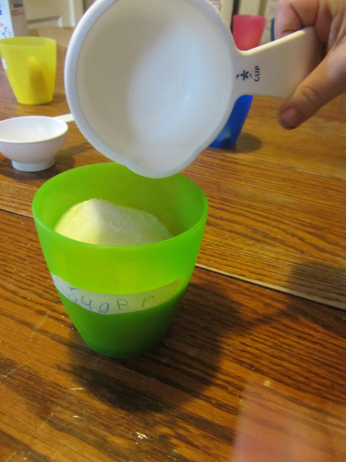 The Unlikely Homeschool: Ancient Egypt: Mummified Apple Experiment