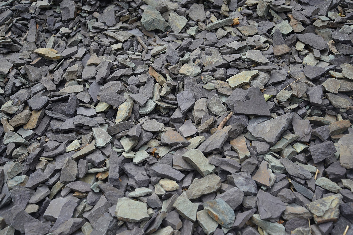 A school of fish: Sedimentary Rock activities and Geode Rolls