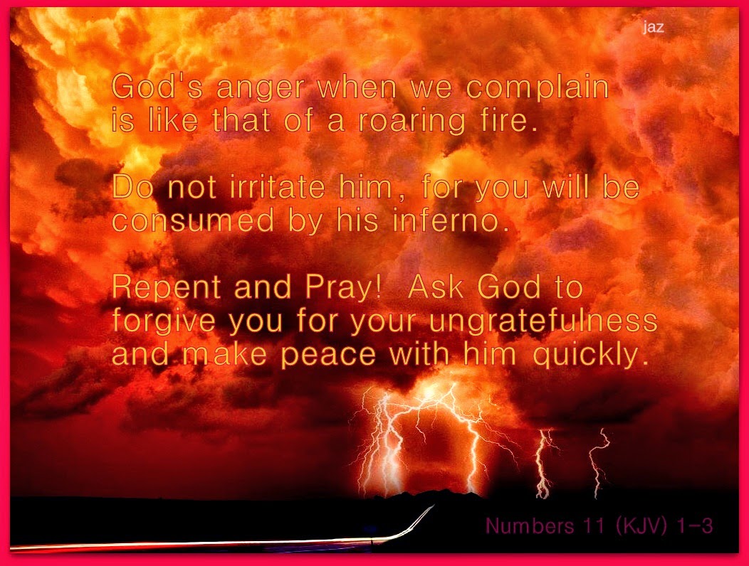 Red Pill Diaries: Numbers 11 (KJV)