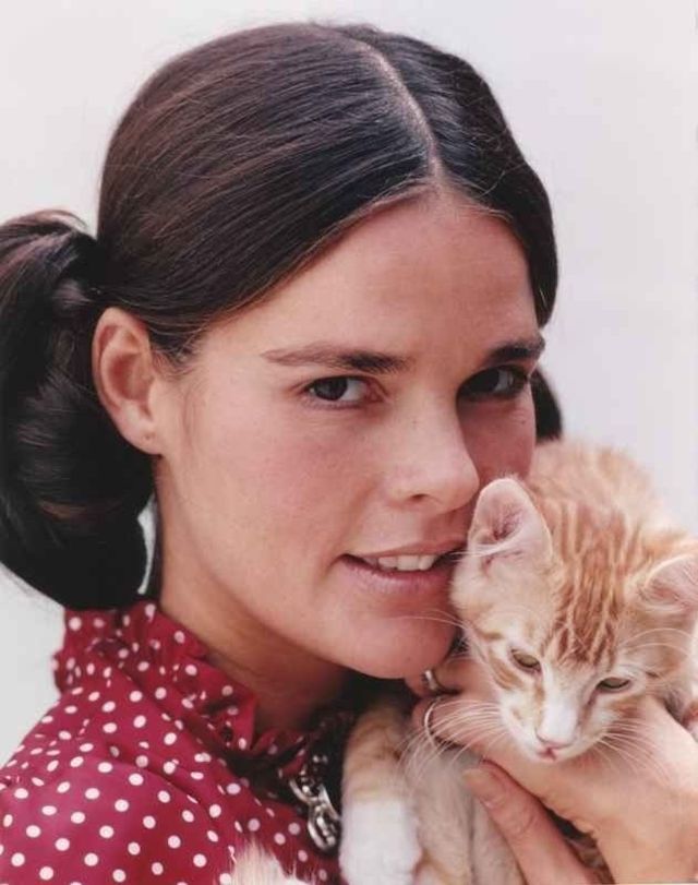 40 Beautiful Portrait Photos of Ali MacGraw in the 1960s and Early ’70s ...
