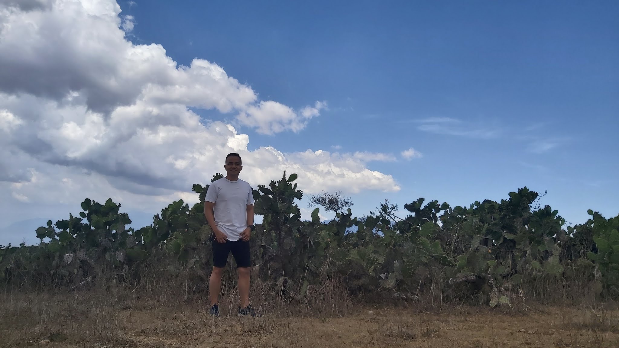 Fulan Fehan, Sabana Maha Luas di NTT - THE JOURNEY