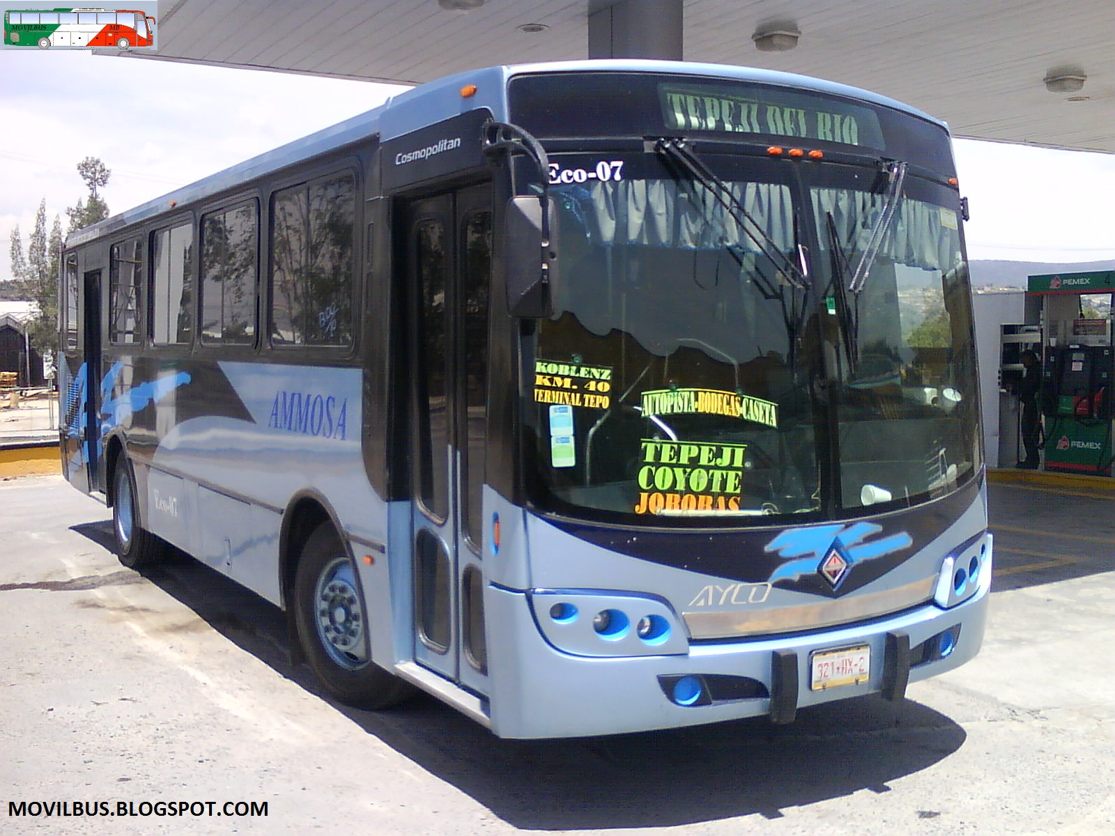 MOVILBUS: INTERNATIONAL COSMOPOLITAN AMMOSA