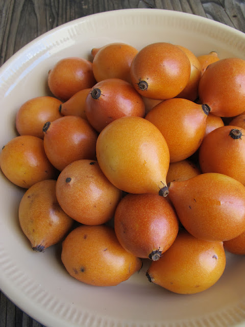 Morsels and Musings: achacha thirst quencher