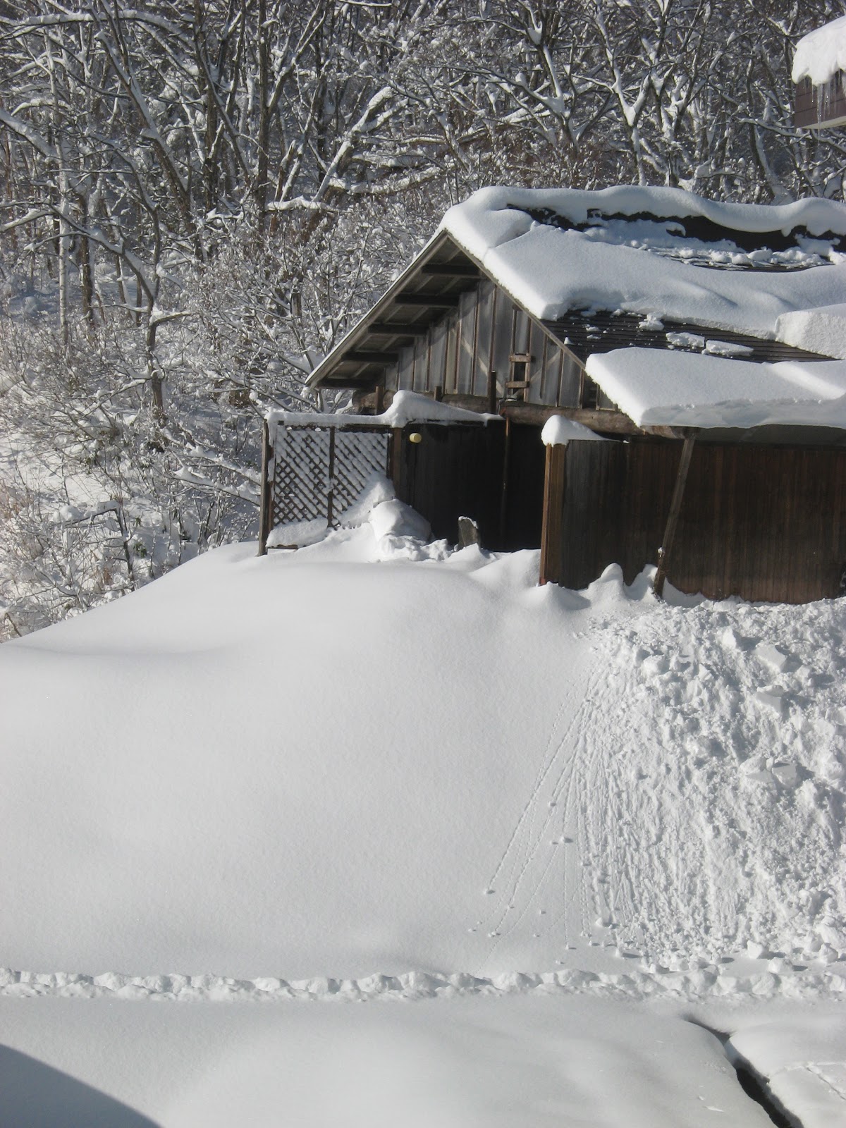 Onsen (Hot Spring) Addict in Japan: Snowshoe and Hot Spring Adventures ...