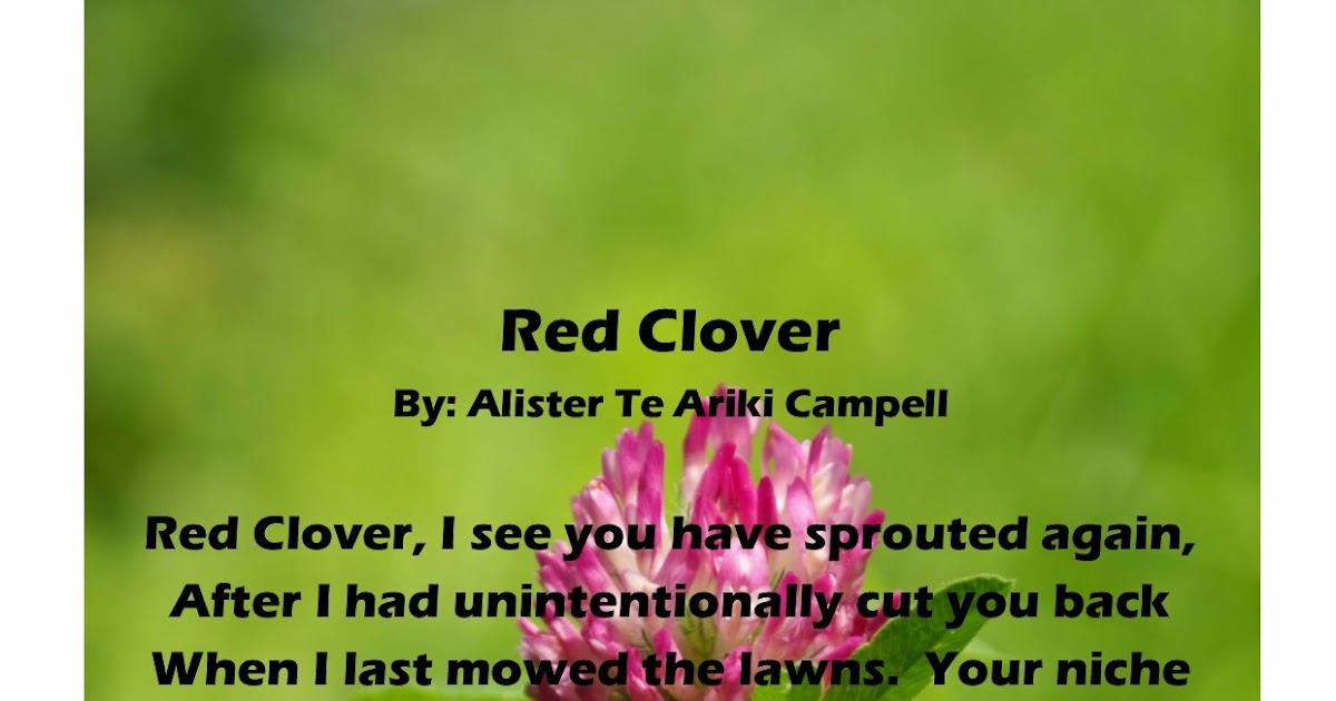 Read, Learn, and Shine: Red Clover