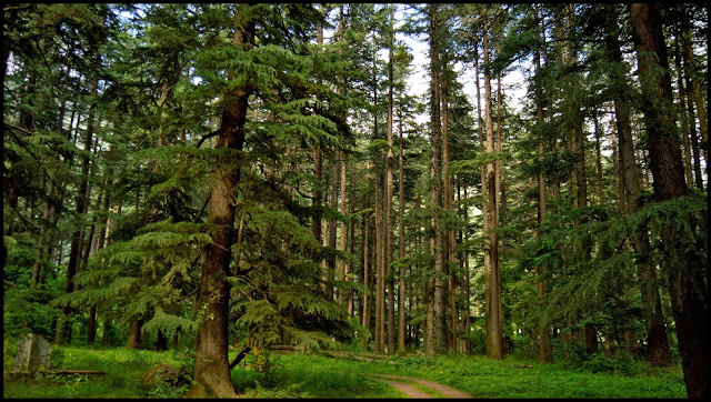 Manali Nature Park,Himachal pradesh,India | Travel life journeys