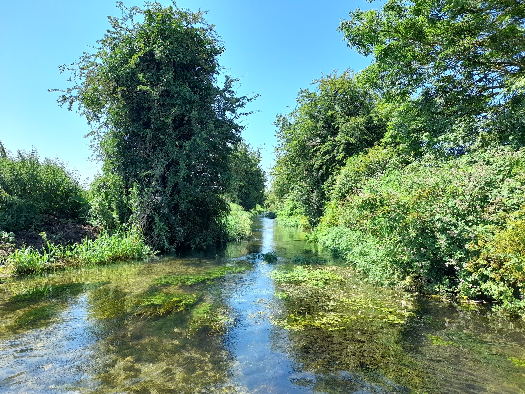 River Loddon, Hampshire